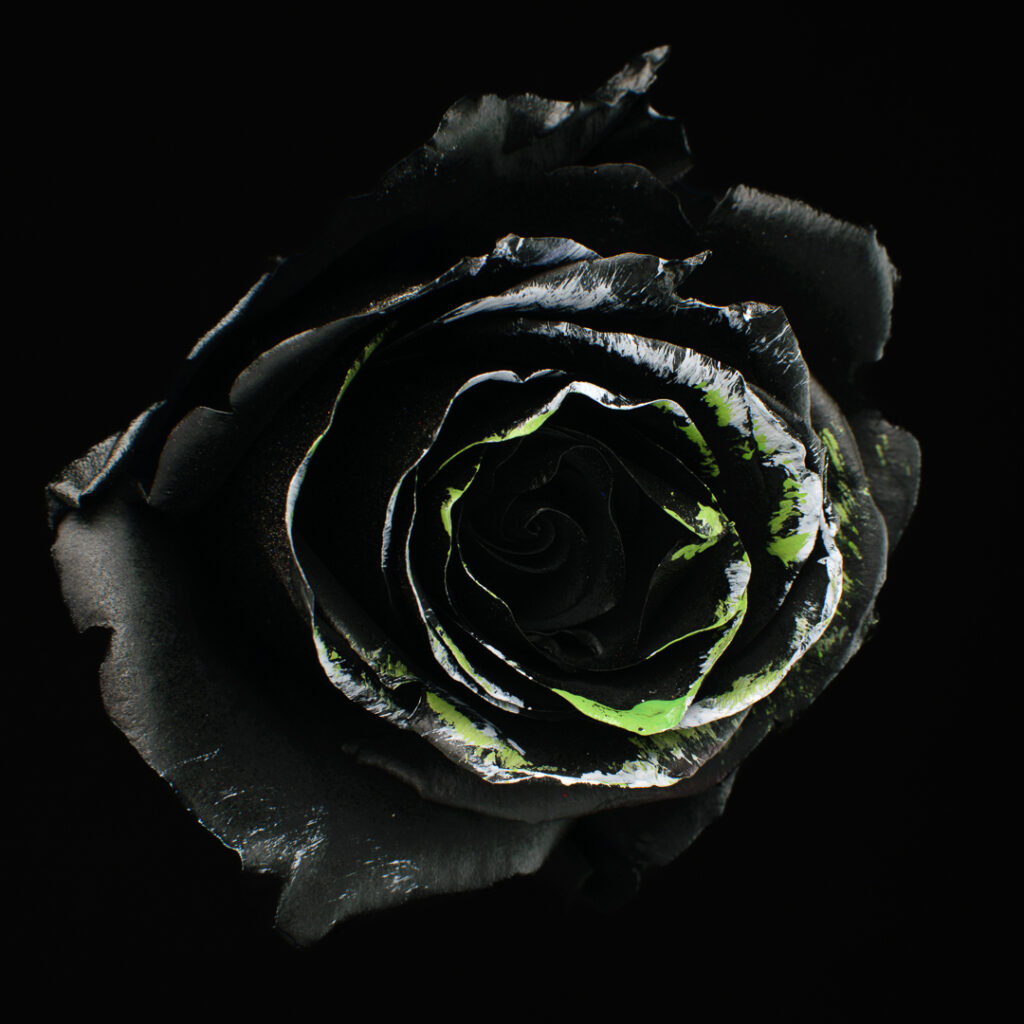 Black Neon – Infinity Love Roses