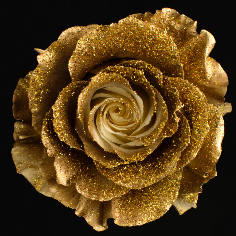 Shiny Gold – Infinity Love Roses